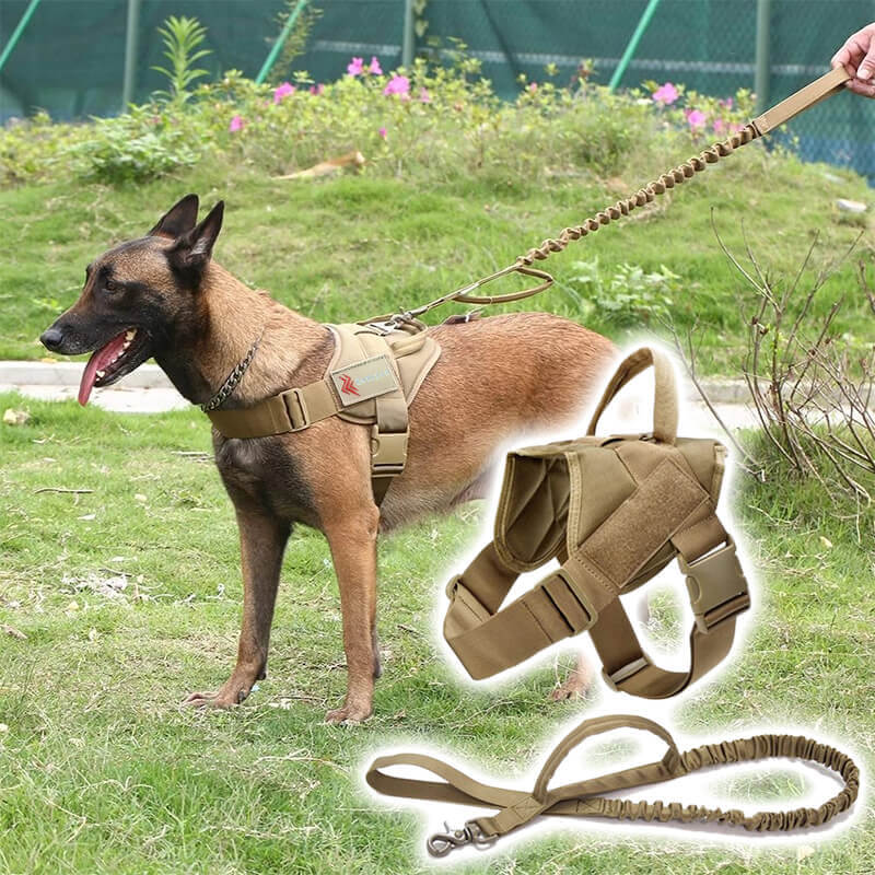 Taktický postroj pre psa